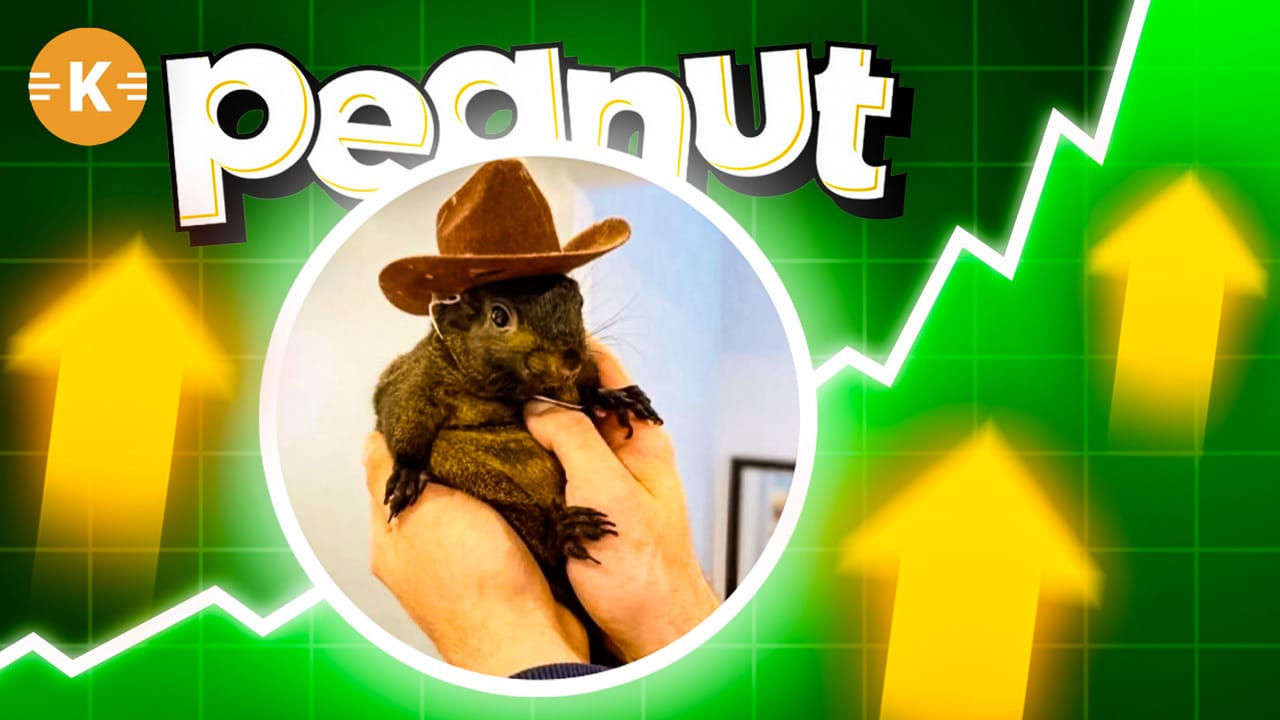 Peanut the Squirrel Prognose 2025 bis 2030: $PNUT Kurs aktuell
